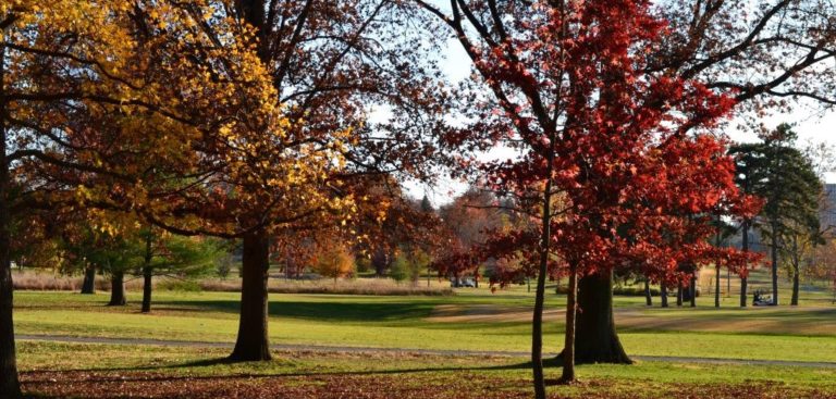 The Best Fall Golf Trips