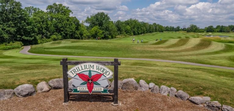 The Top Belleville Golf Courses